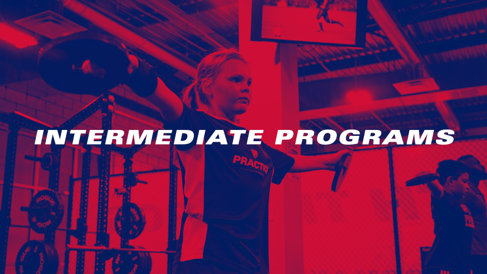 Intermediate Programs